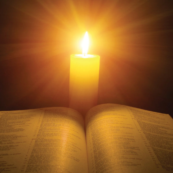 James Theodore Vandiver - Montgomery & Steward