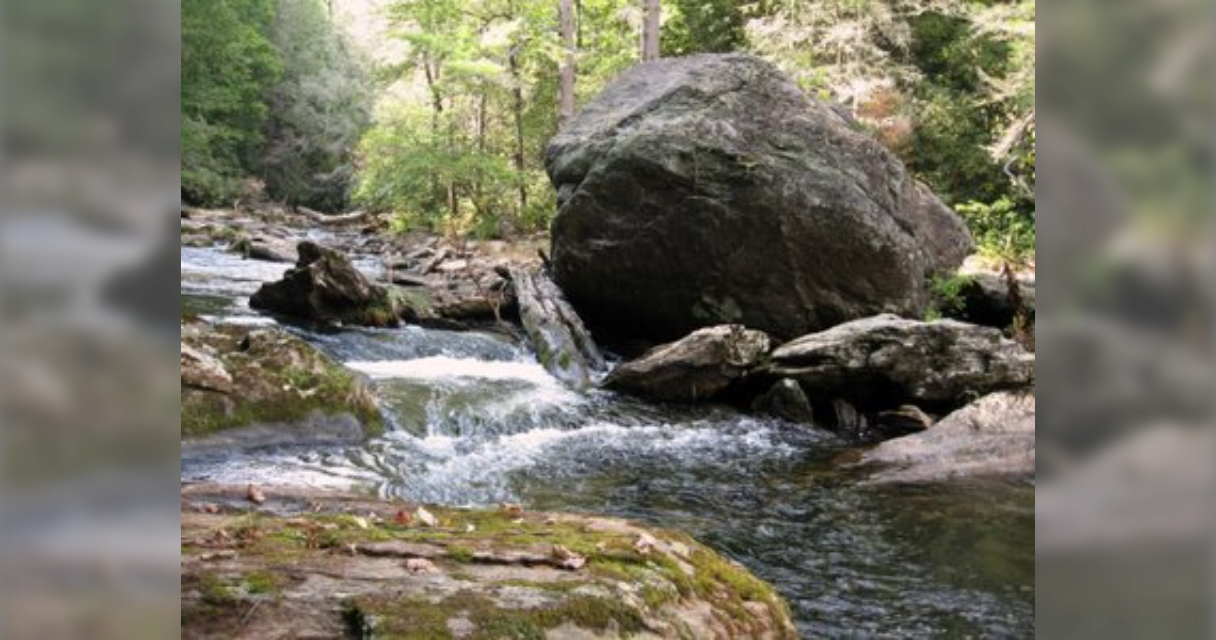 Kelvin Dean Wimber - Montgomery & Steward